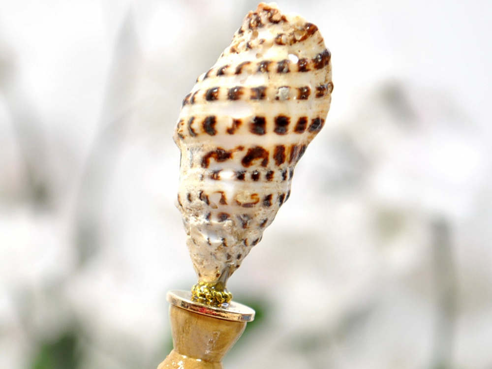 Natural Seashell Hair Stick, handmade by Purple Moon Designs | Purple ...